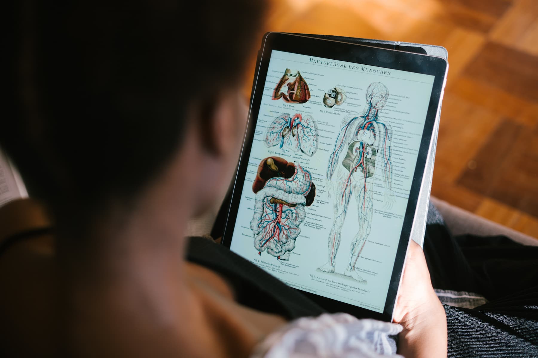 Can You Go From an RN to a PA? - Grad School Center