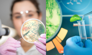 Biology vs Biotechnology: Career ROI - Grad School Center