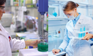 Chemistry vs Chemical Engineering: Career ROI - Grad School Center